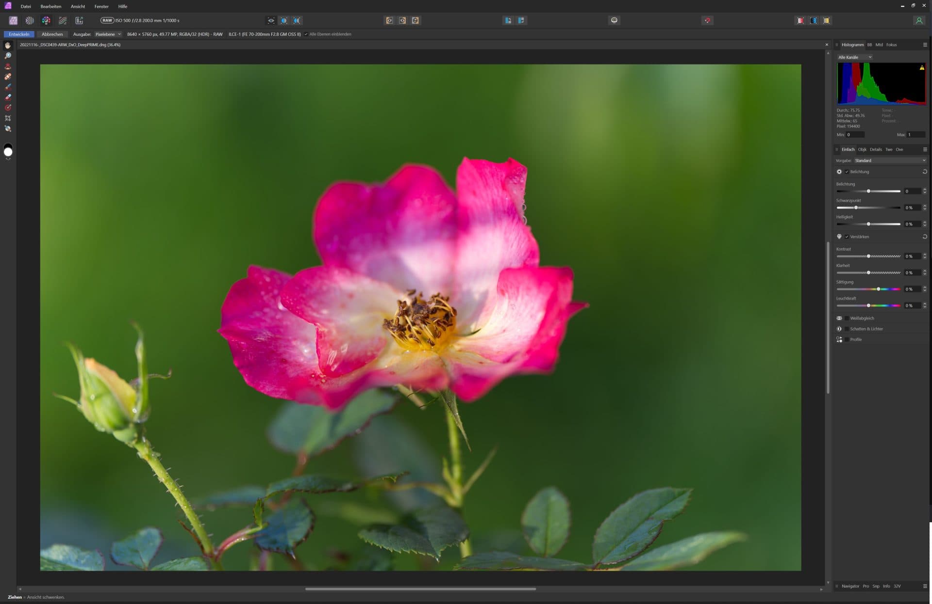 Test: Affinity Photo 2, so gut wie Photoshop nur ohne Abo? - Techtest