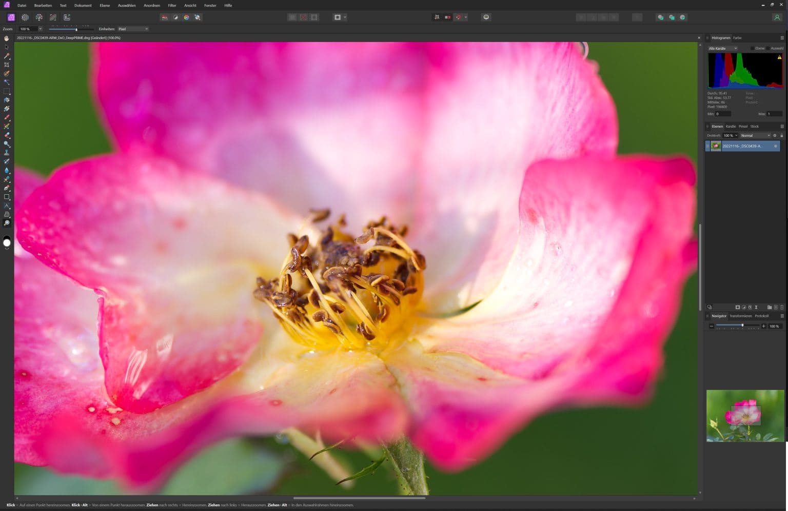 Test: Affinity Photo 2, so gut wie Photoshop nur ohne Abo? - Techtest