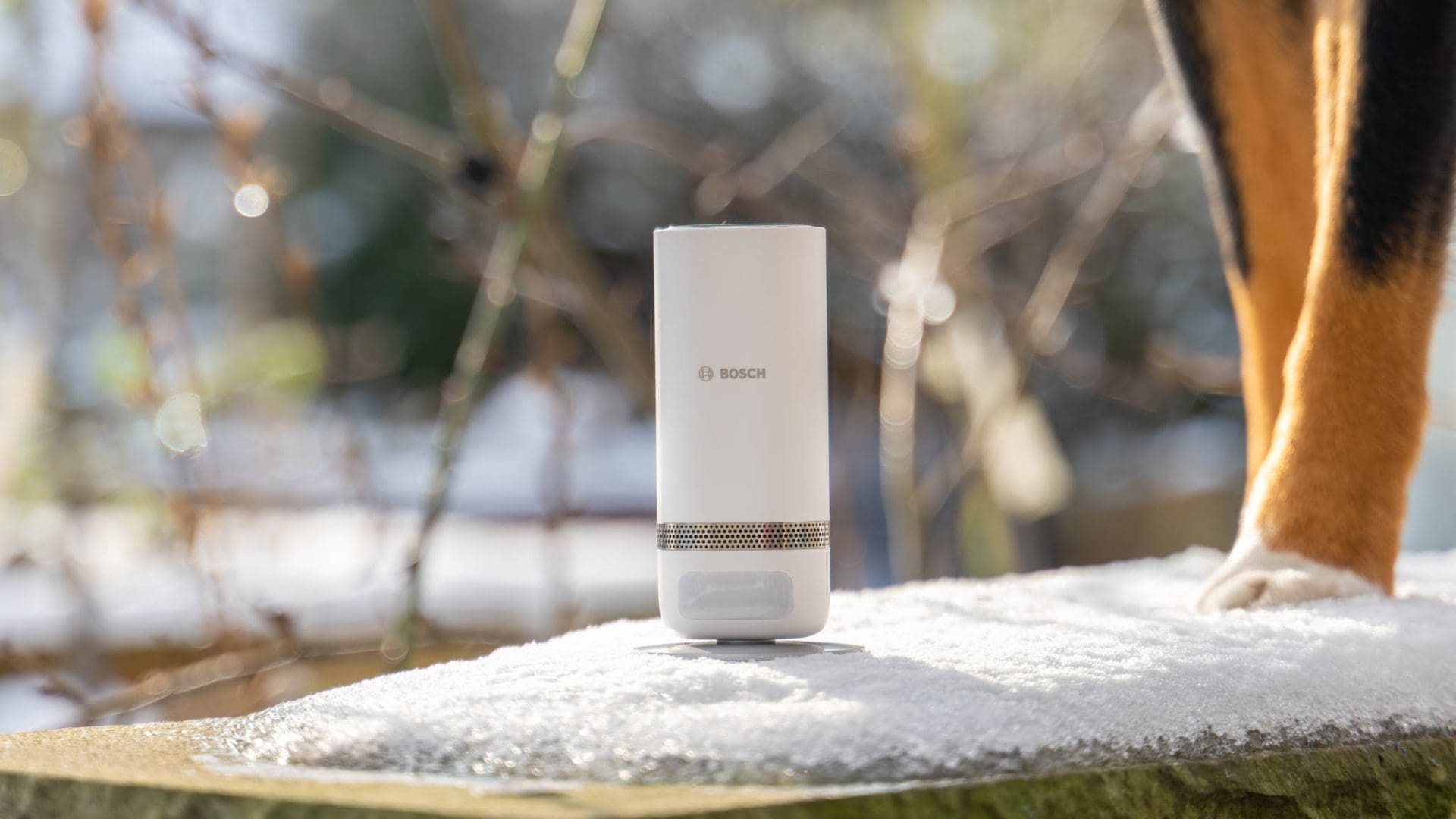 Test: Bosch Smart Home Eyes Innenkamera II, guter Datenschutz und Cloud ...
