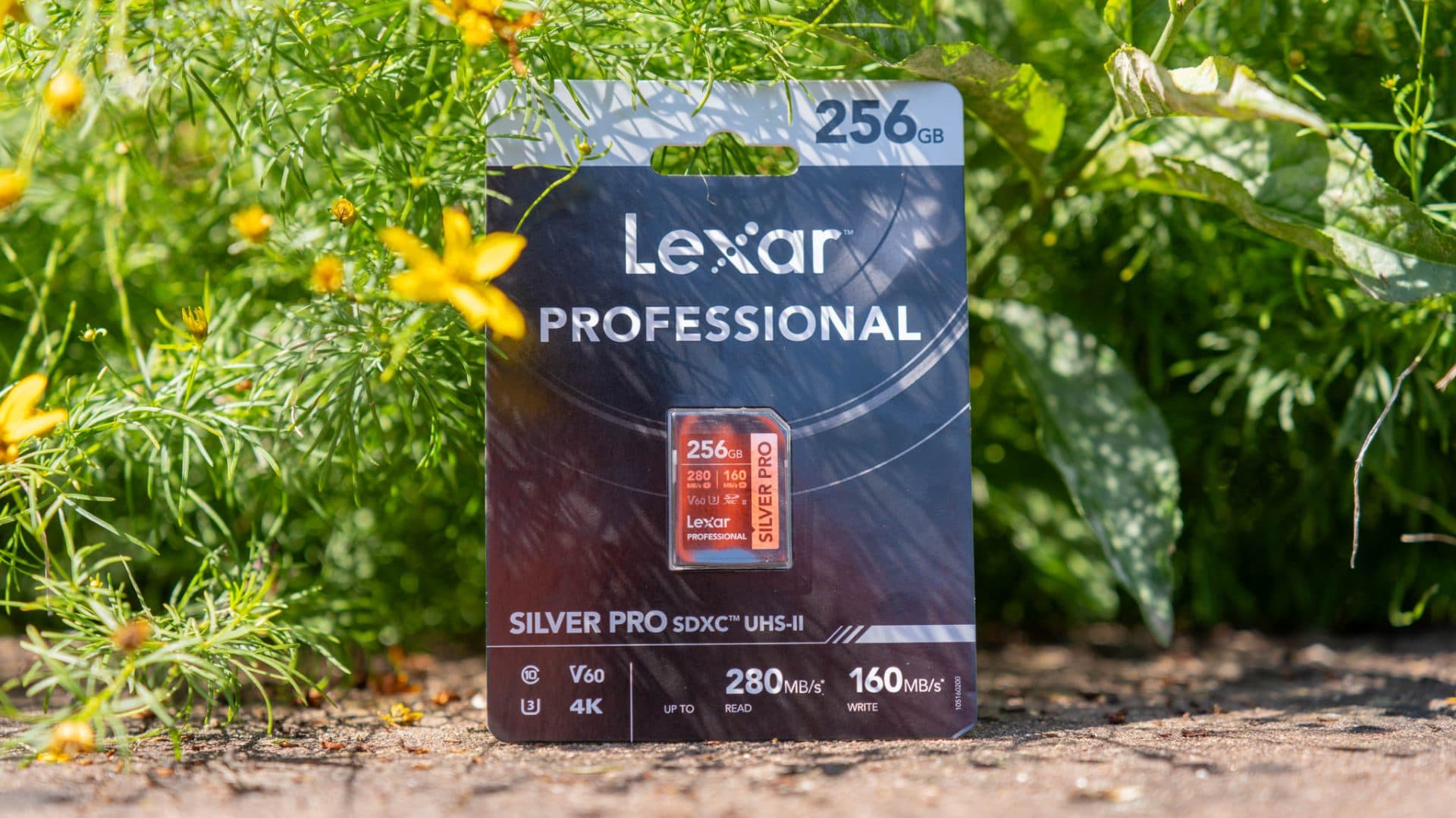 Die Lexar Silver Pro V60 256GB SD Karte im Test - Techtest