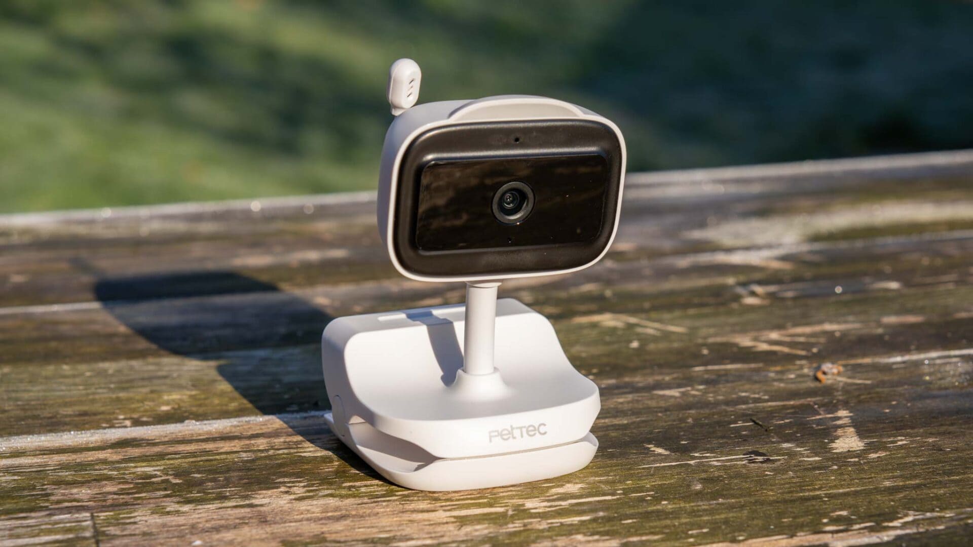 PetTec Cam Feel im Test, Überwachungskamera mit Tier-Fokus und ...