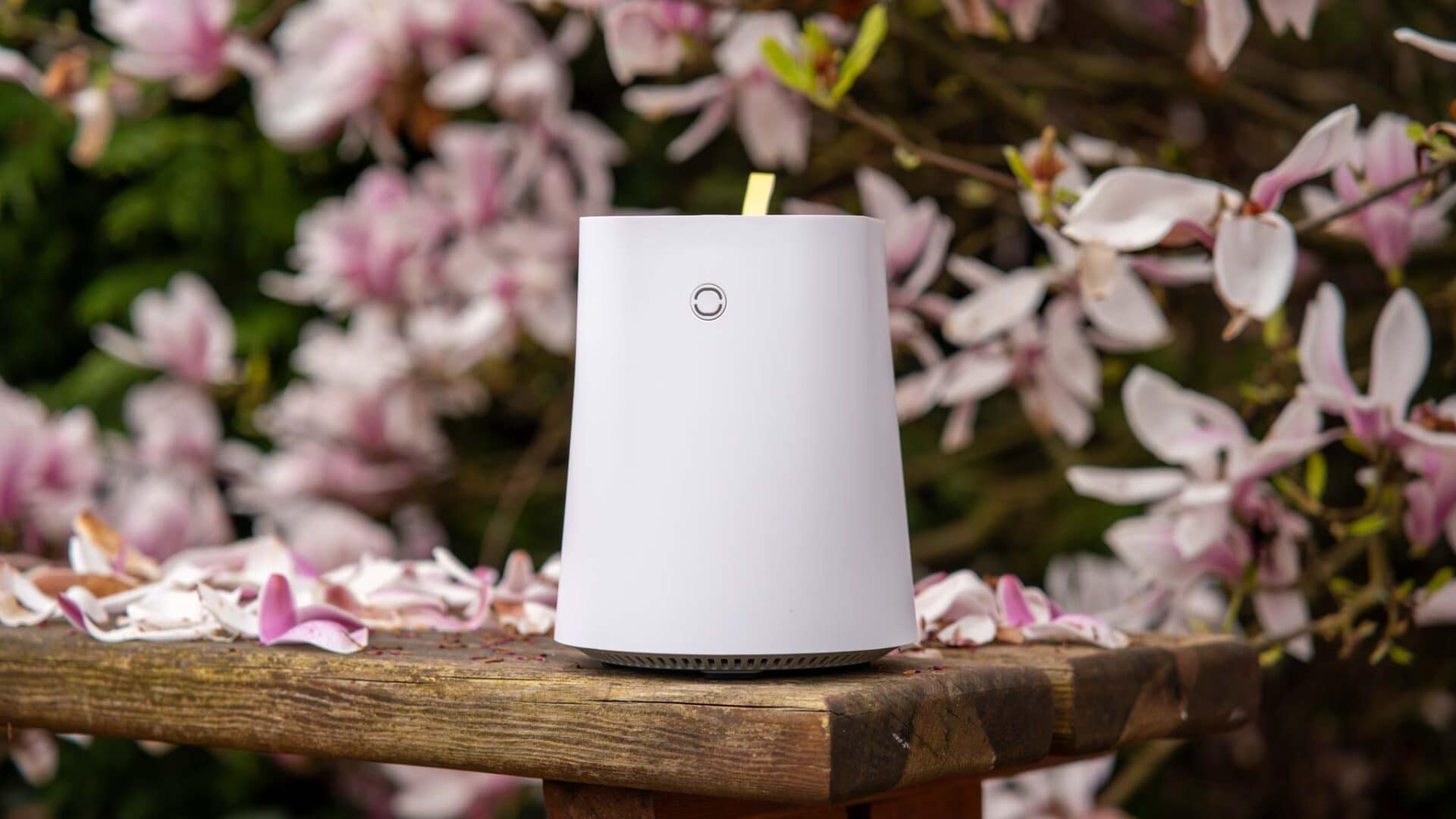 Ein Mini-PC und NAS in einem, der T-bao R1 im Test - Techtest