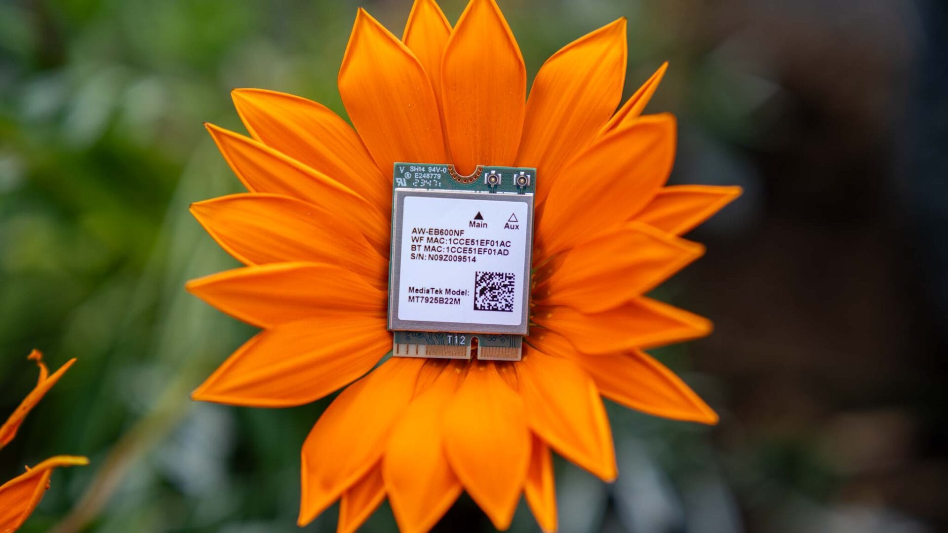 Wie gut ist die MediaTek MT7925 WLAN-Karte? WLAN 7 auch für AMD-Systeme ...