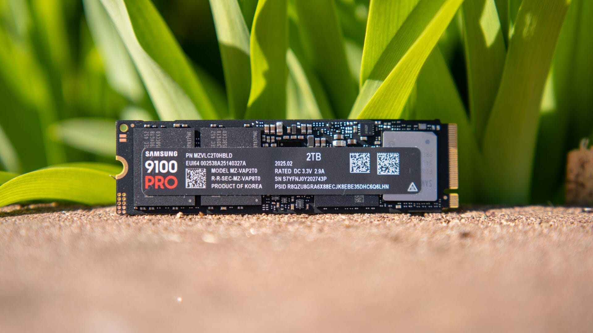 Samsung 9100 PRO PCIe 5.0 SSD im Test: Leistung, Benchmarks ...