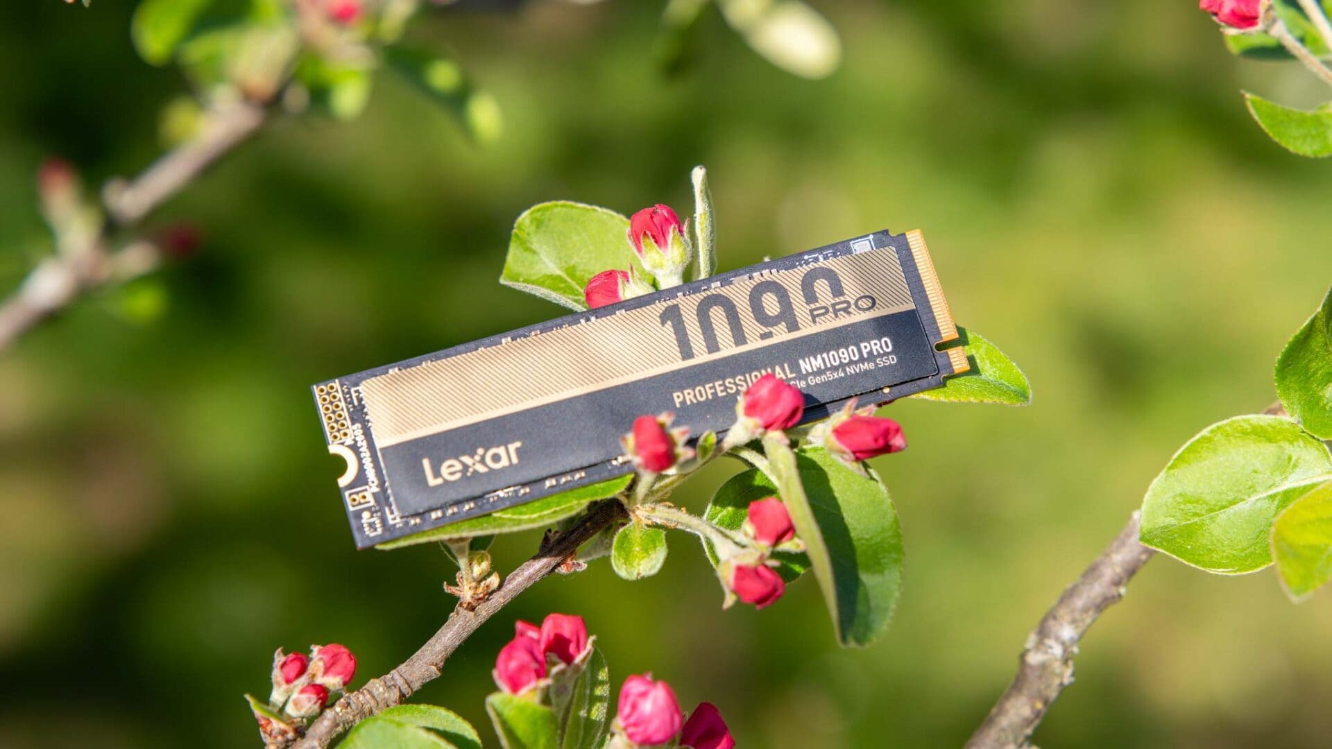 Lexar NM1090 PRO 2TB im Test: Schnelle PCIe 5.0 SSD mit neuem ...